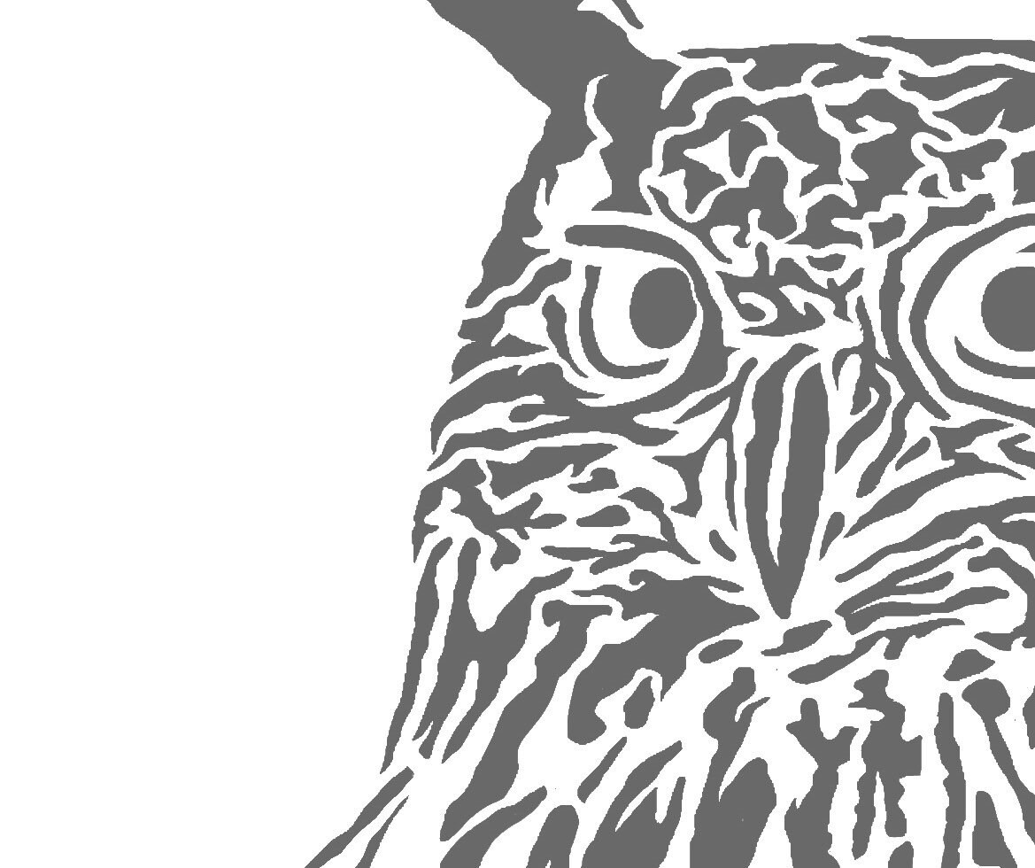 Owl Scroll Saw Pattern Jpeg Only - Etsy