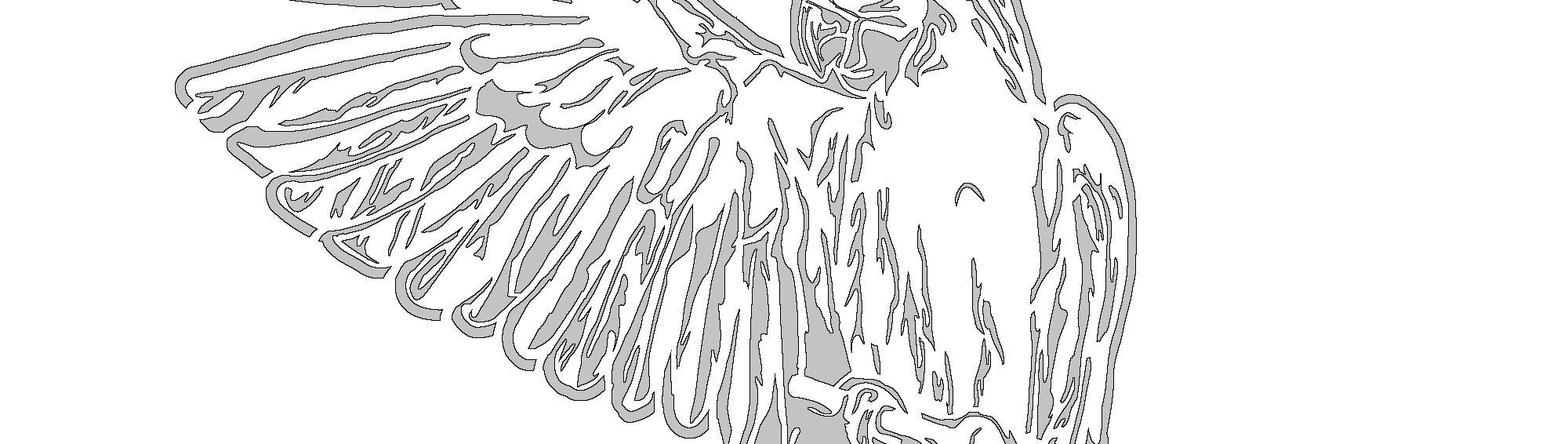 Parrot Scroll Saw Patterns Bird Fretwork Cnc Laser Cut - Etsy