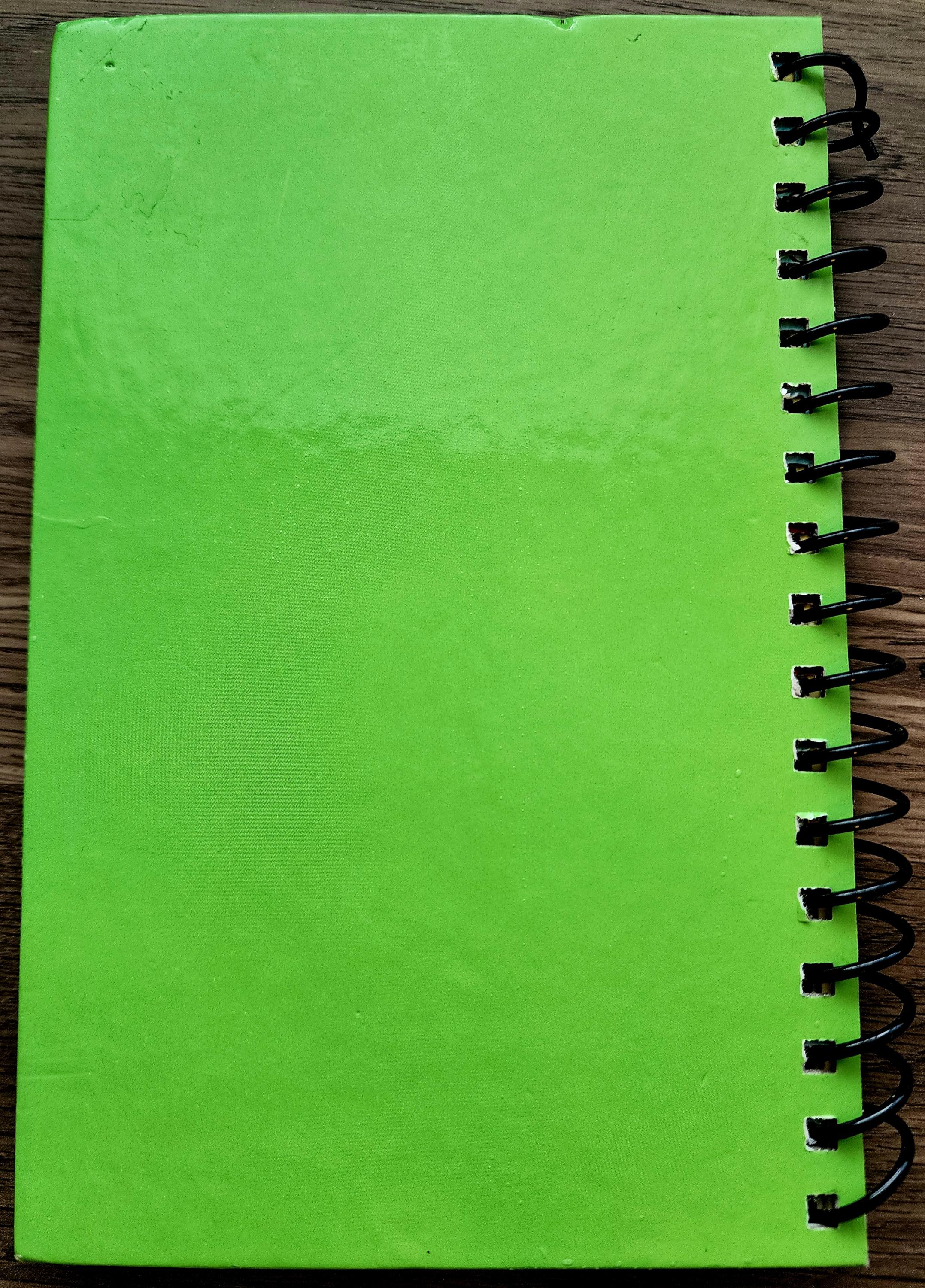 The Little Mermaid Notebook - Etsy