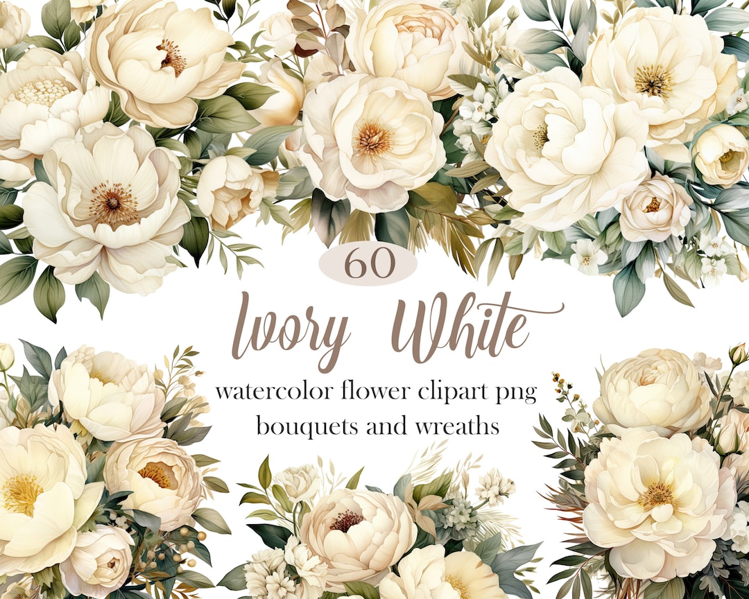 Ivory White Flower PNG, Watercolor Cream White Floral Clipart, Wedding ...