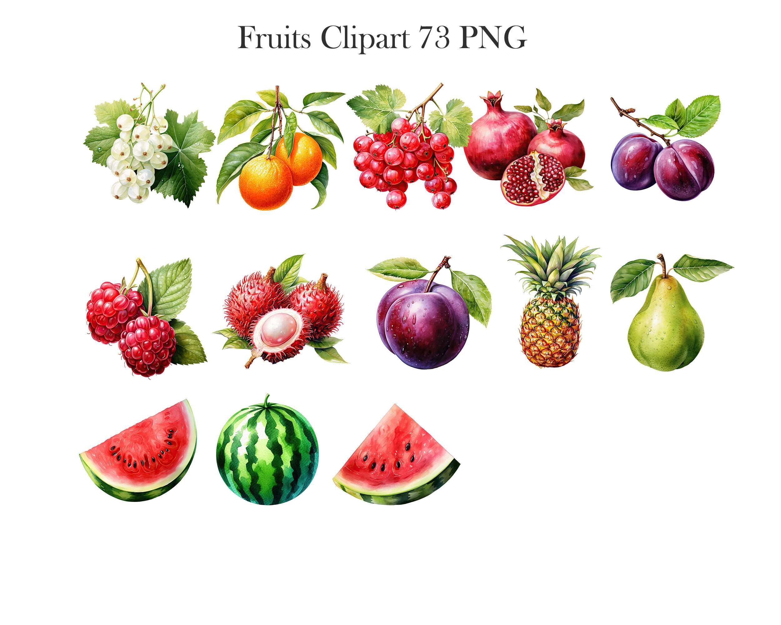 Fruit Clipart, Watercolor Fruits PNG Bundle, Fruit Sublimation, Apple ...