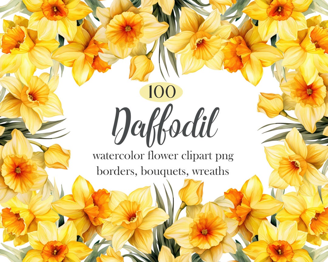 Daffodil Clipart, Watercolor Daffodil PNG Bundle, Flower Border ...