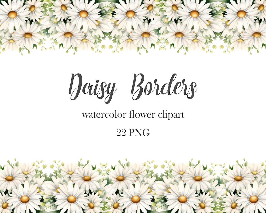 Daisy PNG, Daisy Border Clipart, Watercolor Daisy Clipart Bundle ...