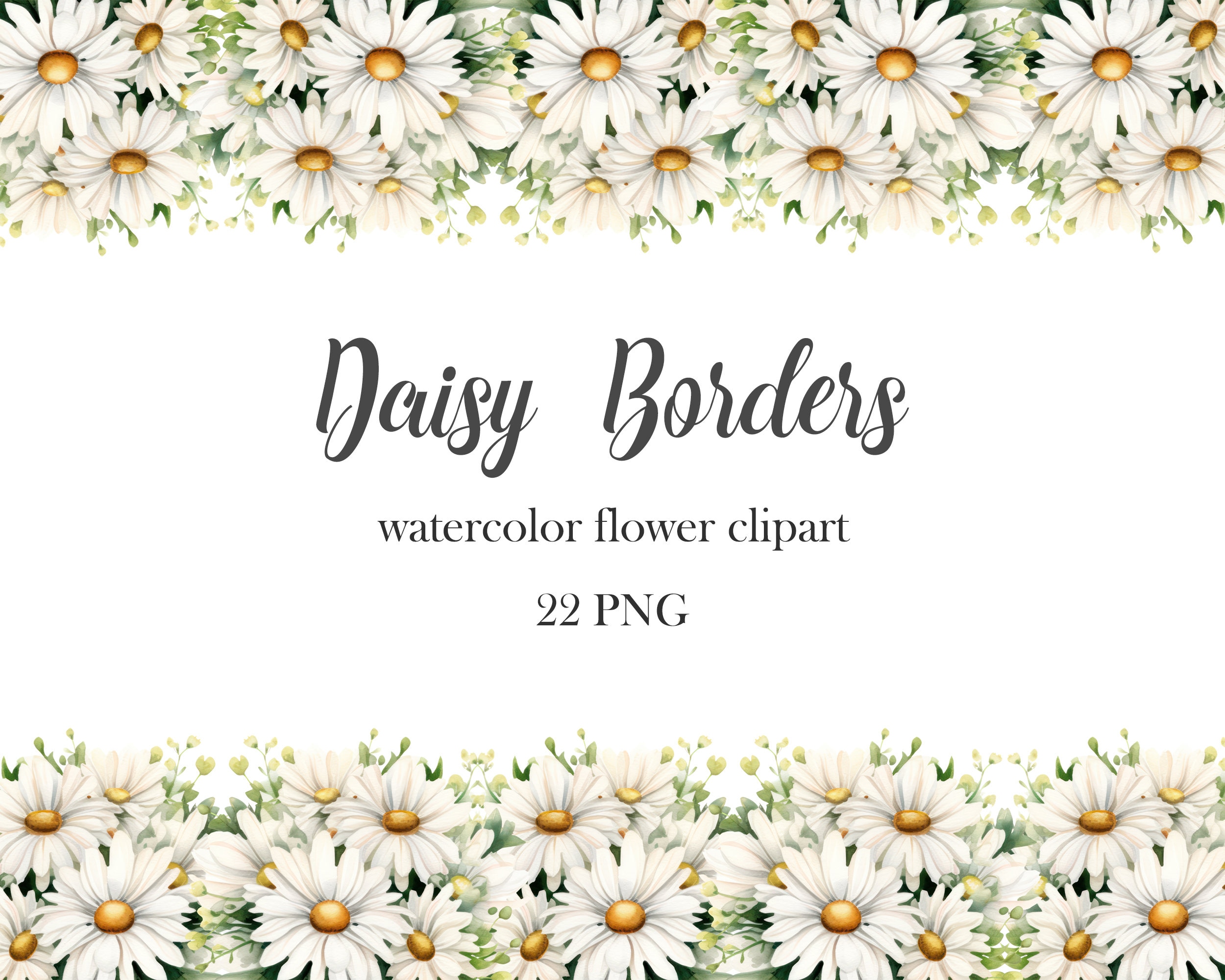 Daisy Clipart Border Daisy Border Images – Browse 151,234 Stock