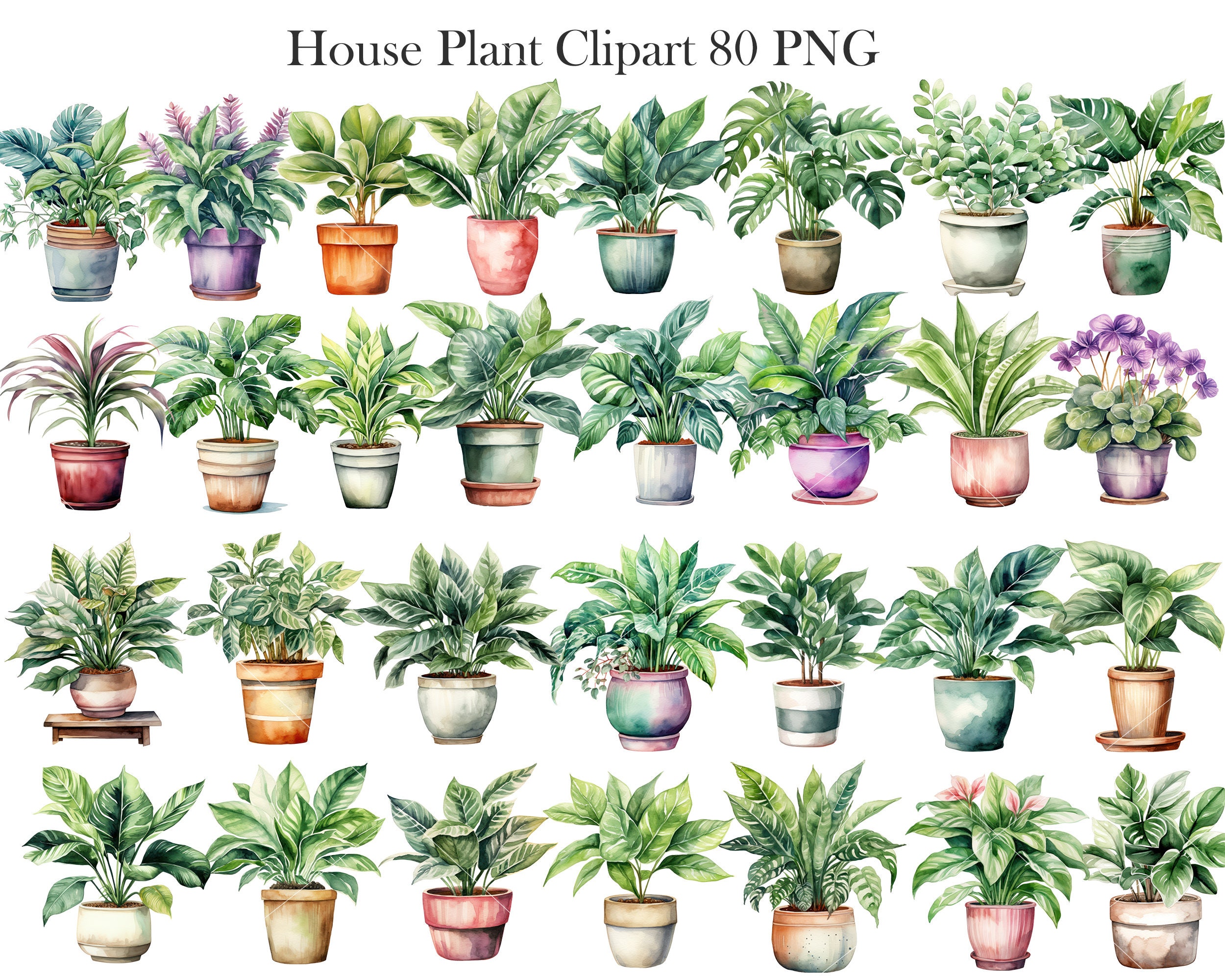 House Plants Clipart Watercolor Potted Plants PNG Indoor - Etsy