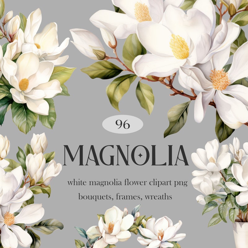 Magnolia Watercolor Clipart - Etsy