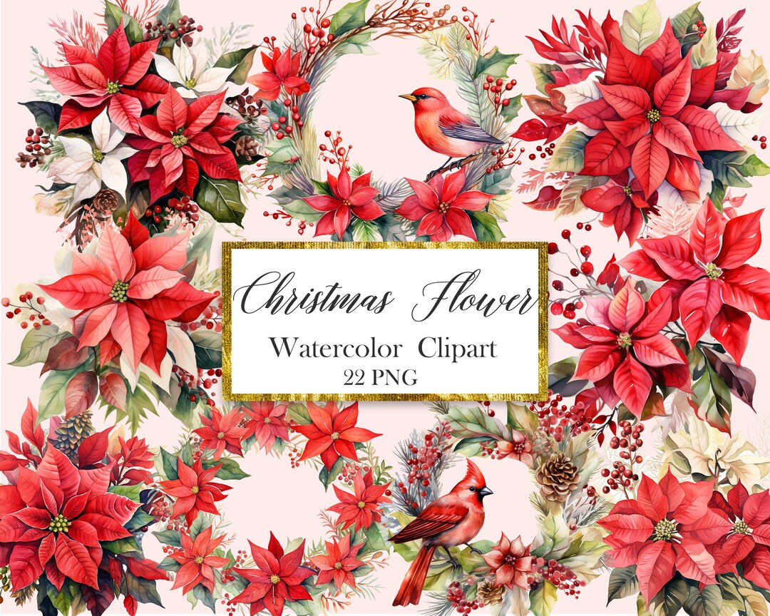 Christmas Flower Watercolor Clipart, Poinsettia Wreaths Bouquet, Bird ...