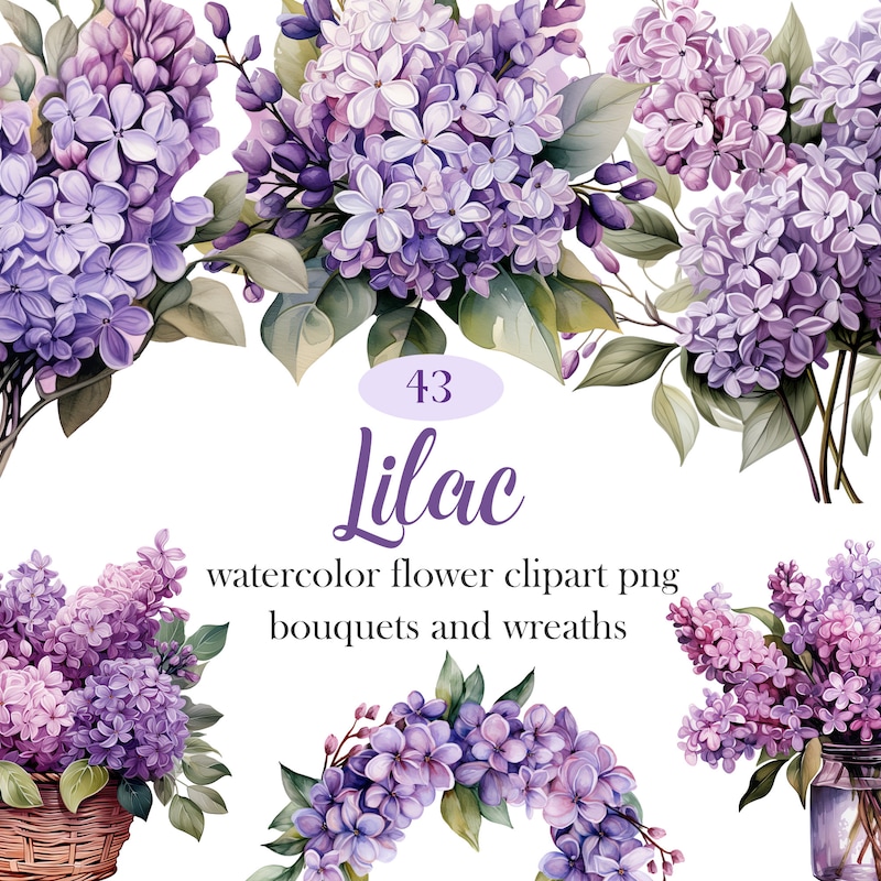 Lilac Kitchen Decor - Etsy