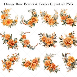 Orange Rose PNG, Watercolor Orange Rose Border Clipart, Rose Corner ...