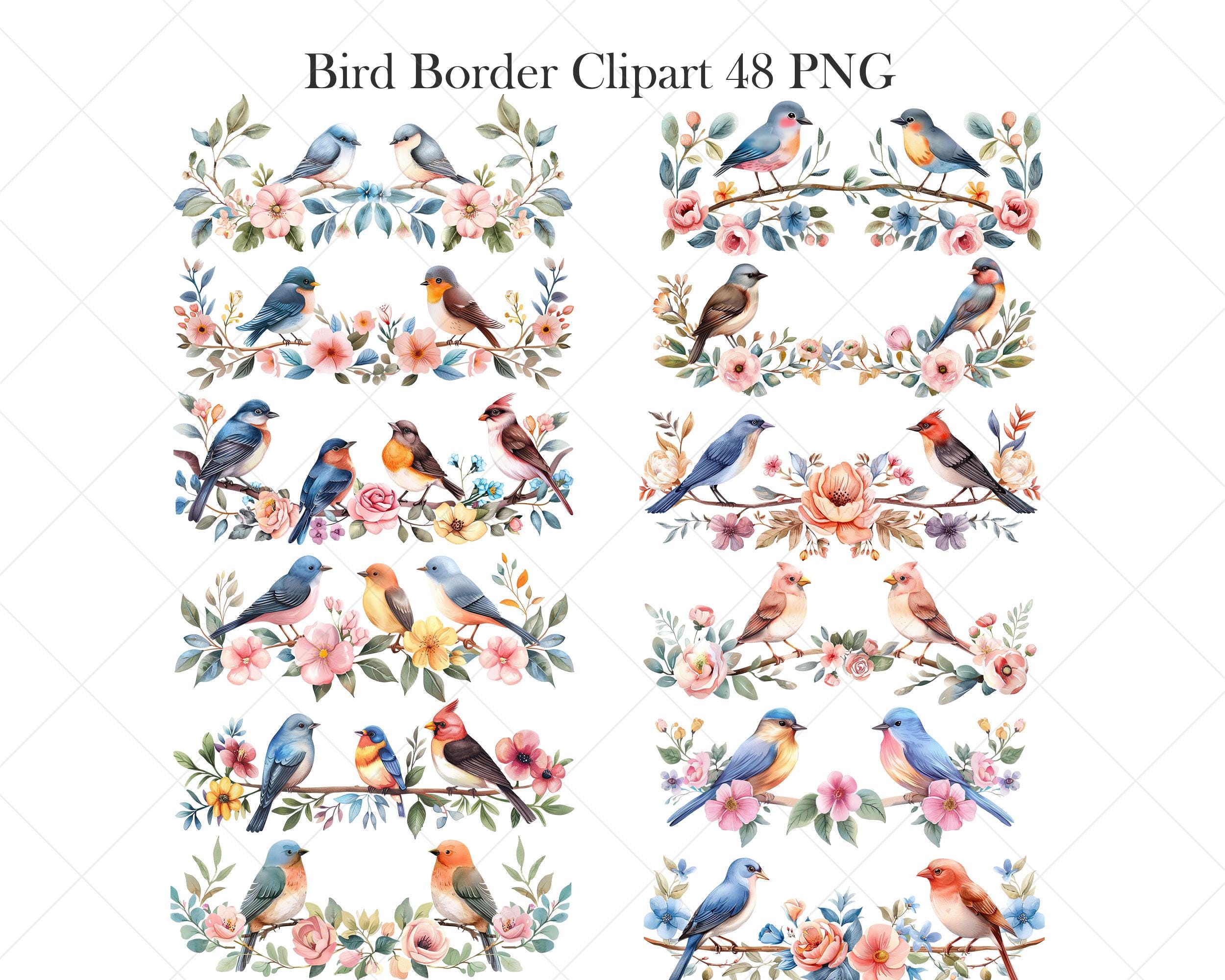 Bird Border Clipart, Watercolor Bird PNG, Digital Download - Etsy