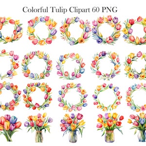Colorful Tulip Watercolor Clipart, Tulip PNG, Watercolor Floral Clipart ...
