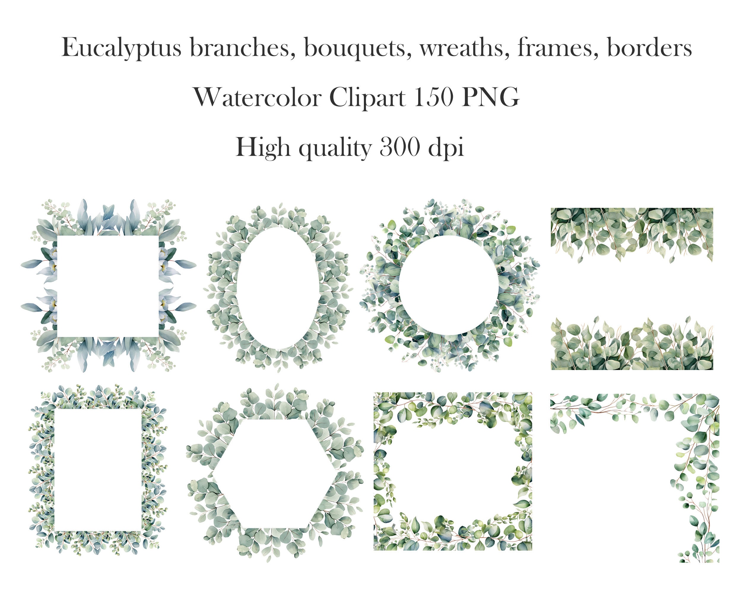 Eucalyptus PNG, Watercolor Eucalyptus Clipart Bundle, Greenery Clipart ...