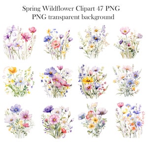 Spring Wildflower Clipart, Watercolor Floral Clipart Bundle, Flower ...