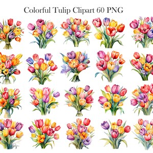 Colorful Tulip Watercolor Clipart, Tulip PNG, Watercolor Floral Clipart ...