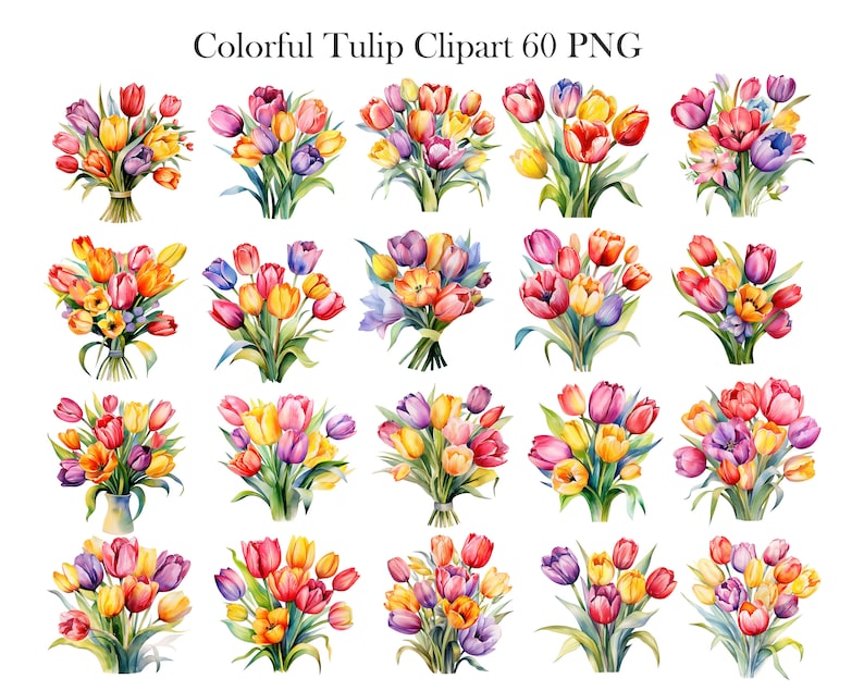 Colorful Tulip Watercolor Clipart, Tulip PNG, Watercolor Floral Clipart ...