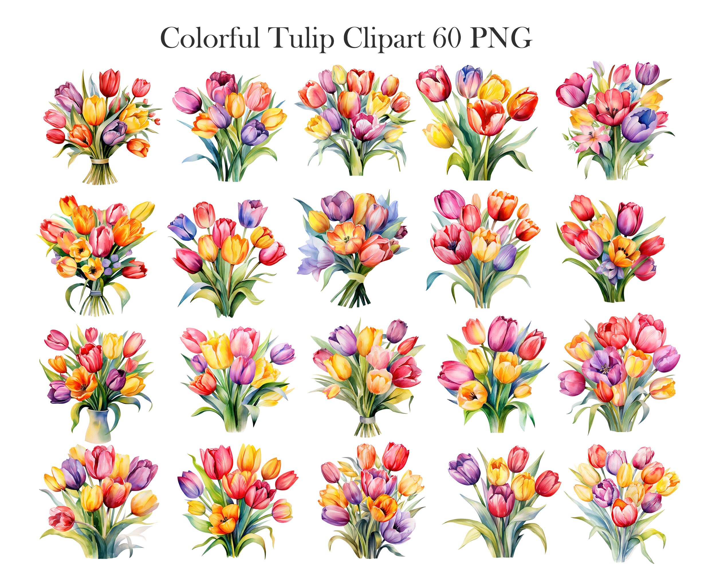 Colorful Tulip Watercolor Clipart, Tulip PNG, Watercolor Floral Clipart ...