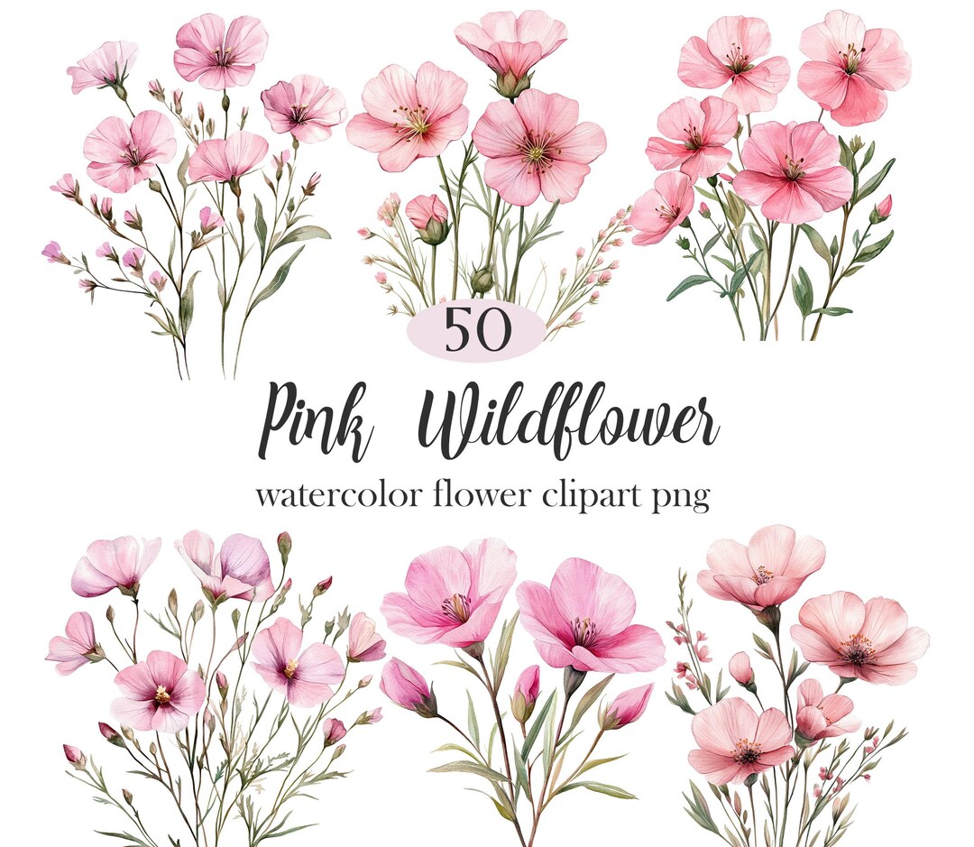 Pink Wildflower PNG, Watercolor Floral Clipart, Spring Flower, Digital ...