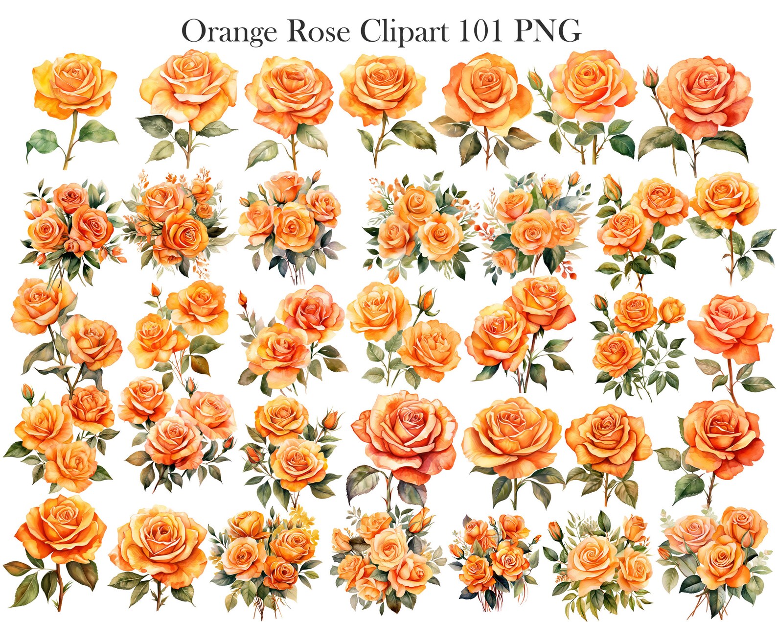 Orange Rose PNG, Watercolor Orange Rose Clipart Bundle, Wedding Bouquet ...