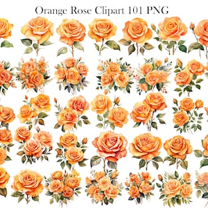 Orange Rose PNG, Watercolor Orange Rose Clipart Bundle, Wedding Bouquet ...
