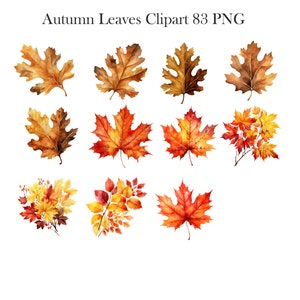 Autumn Leaves Clipart, Watercolor Fall Leaf Clipart Bundle, Fall Leaves ...
