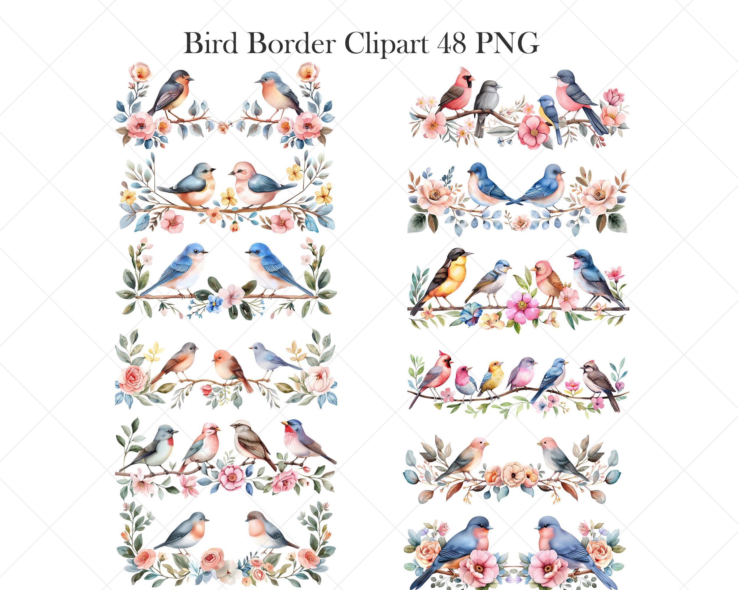 Bird Border Clipart, Watercolor Bird PNG, Digital Download - Etsy