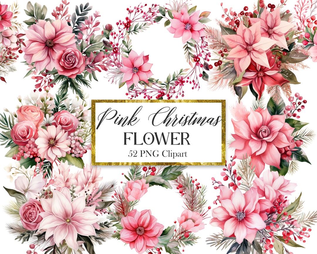 Pink Christmas Flower Clipart, Christmas Poinsettia, Watercolor Floral ...