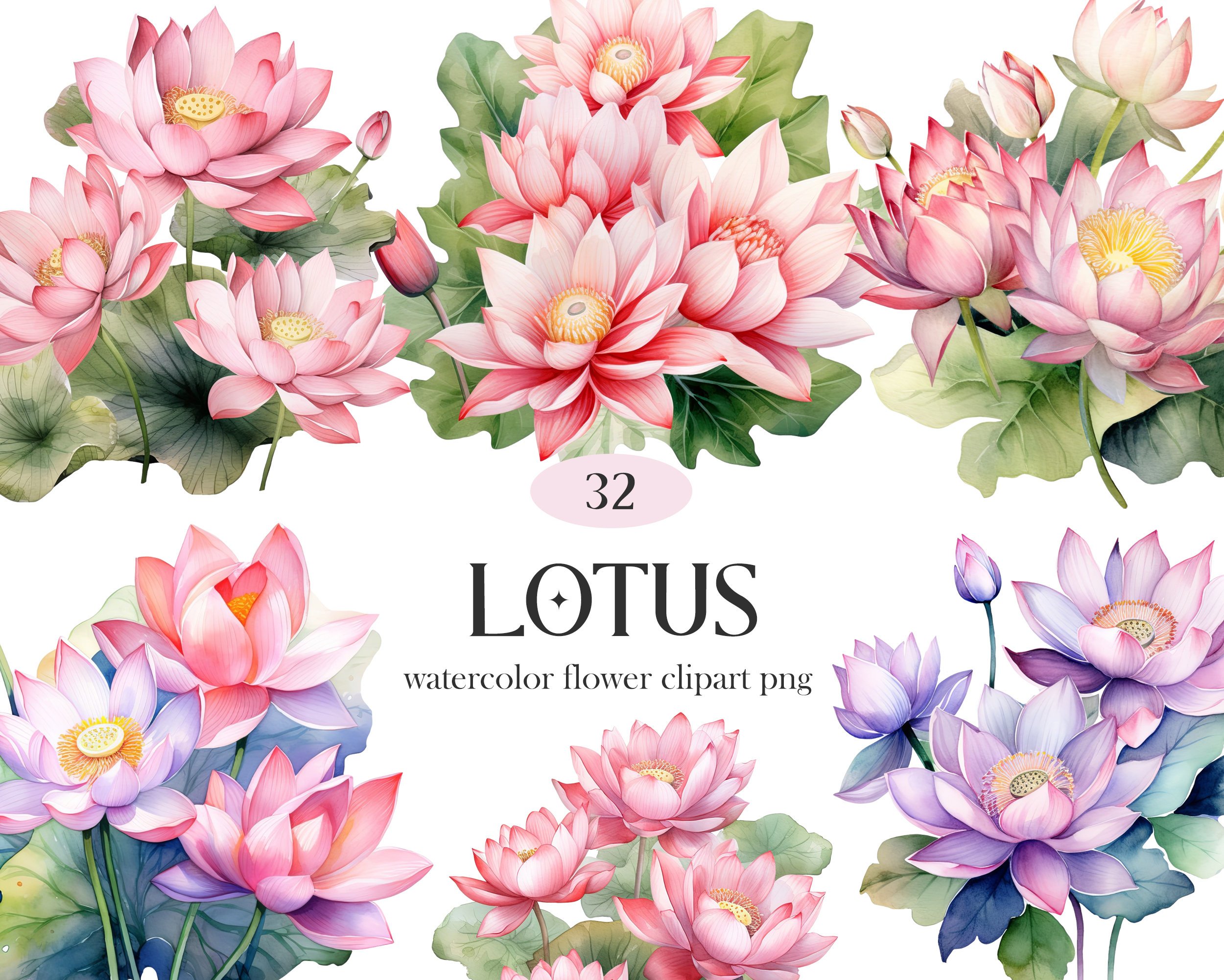 Lotus Clipart, Watercolor Lotus Flower Clipart Bundle, Lotus PNG ...