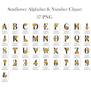 Sunflower Alphabet PNG, Floral Alphabet Clipart, Watercolor Flower ...