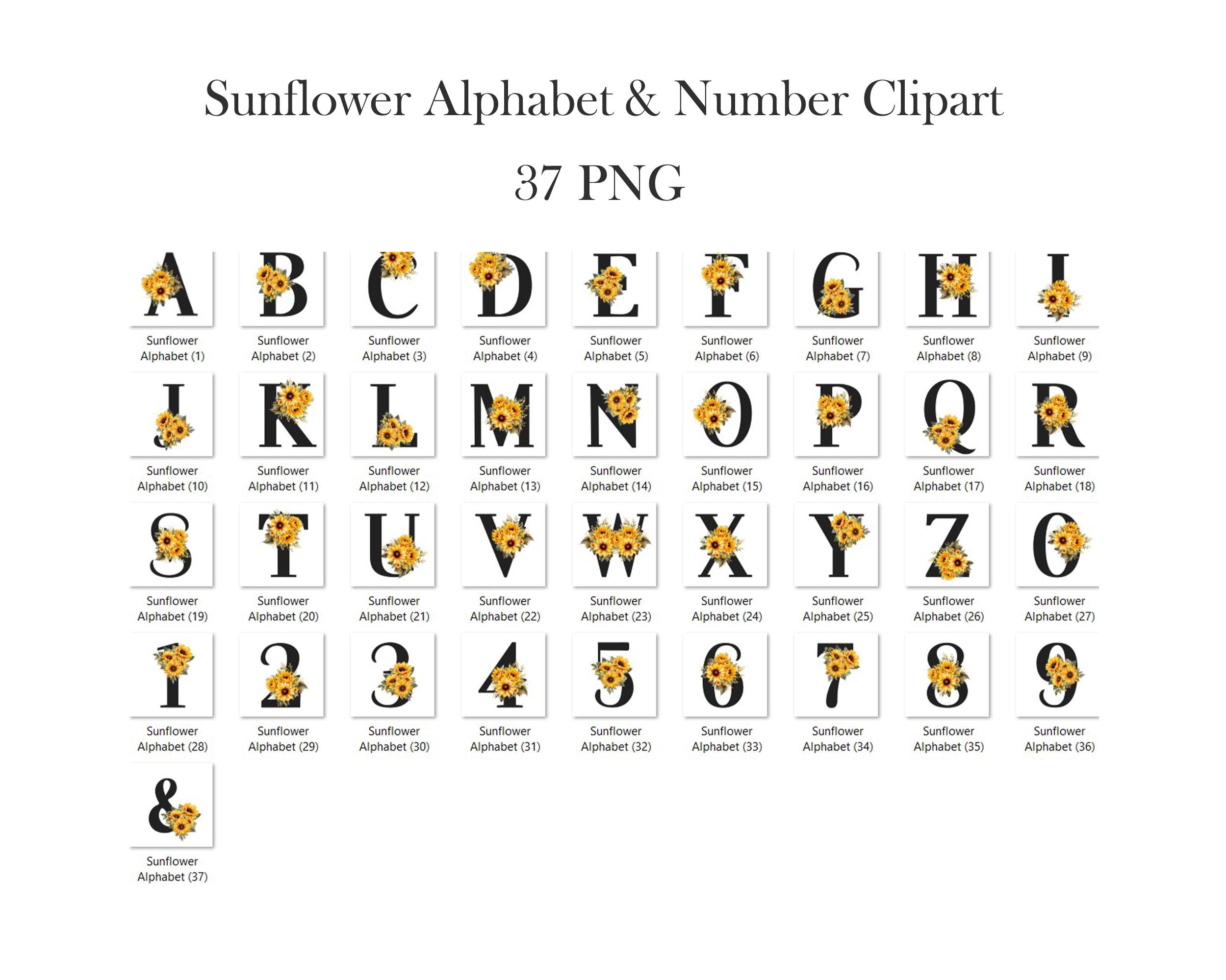 Sunflower Alphabet PNG, Floral Alphabet Clipart, Watercolor Flower ...