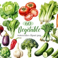 12 Watercolor Vegetable Clipart | Fresh Produce Art | Organic Veggies ...