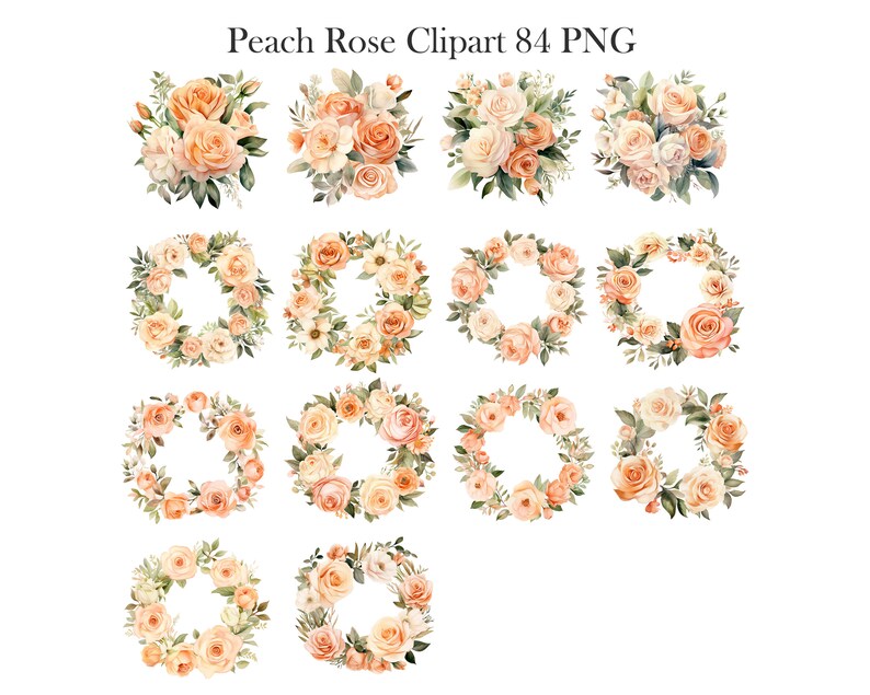 Peach Rose PNG, Pastel Orange Rose Clipart, Watercolor Peach Flower ...