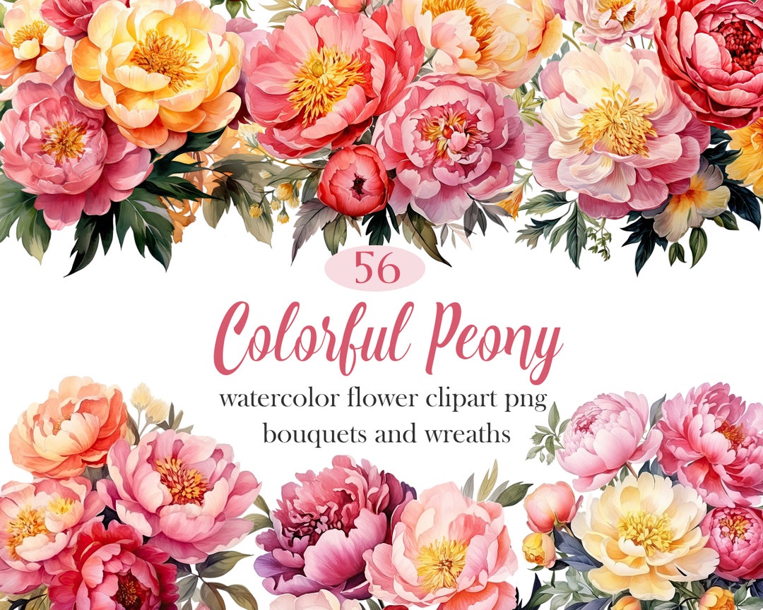 Colorful Peony PNG, Watercolor Peony Flower Clipart Bundle, Floral ...