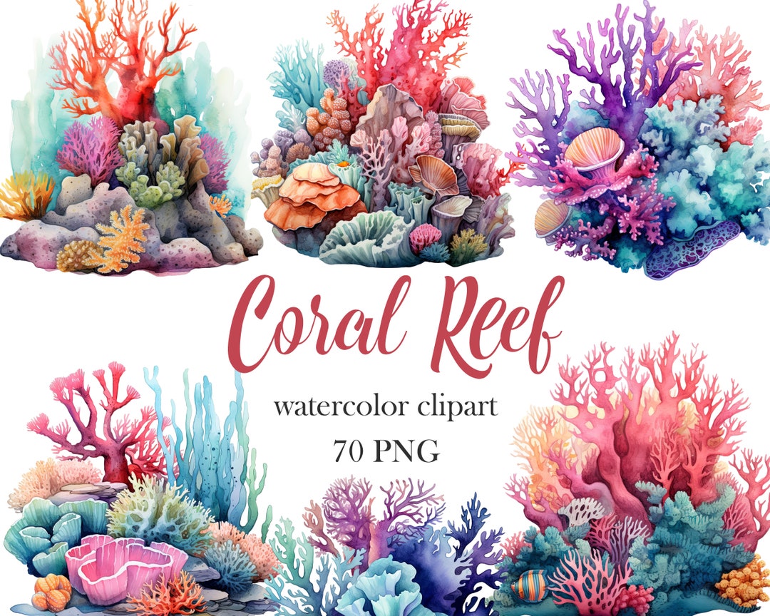 Coral Reef Clipart, Watercolor Coral Reef PNG Bundle, Underwater ...