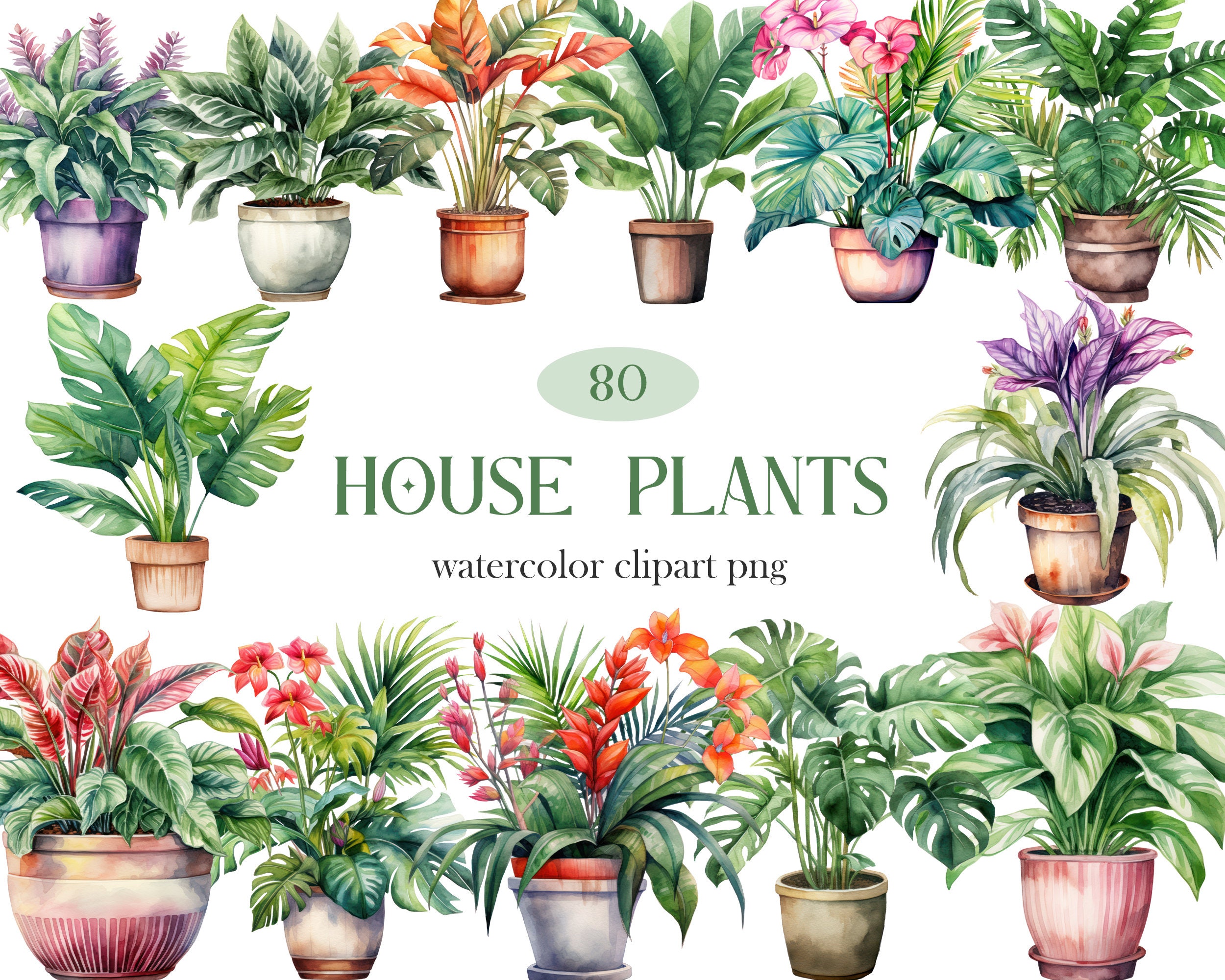 House Plants Clipart Watercolor Potted Plants PNG Indoor - Etsy