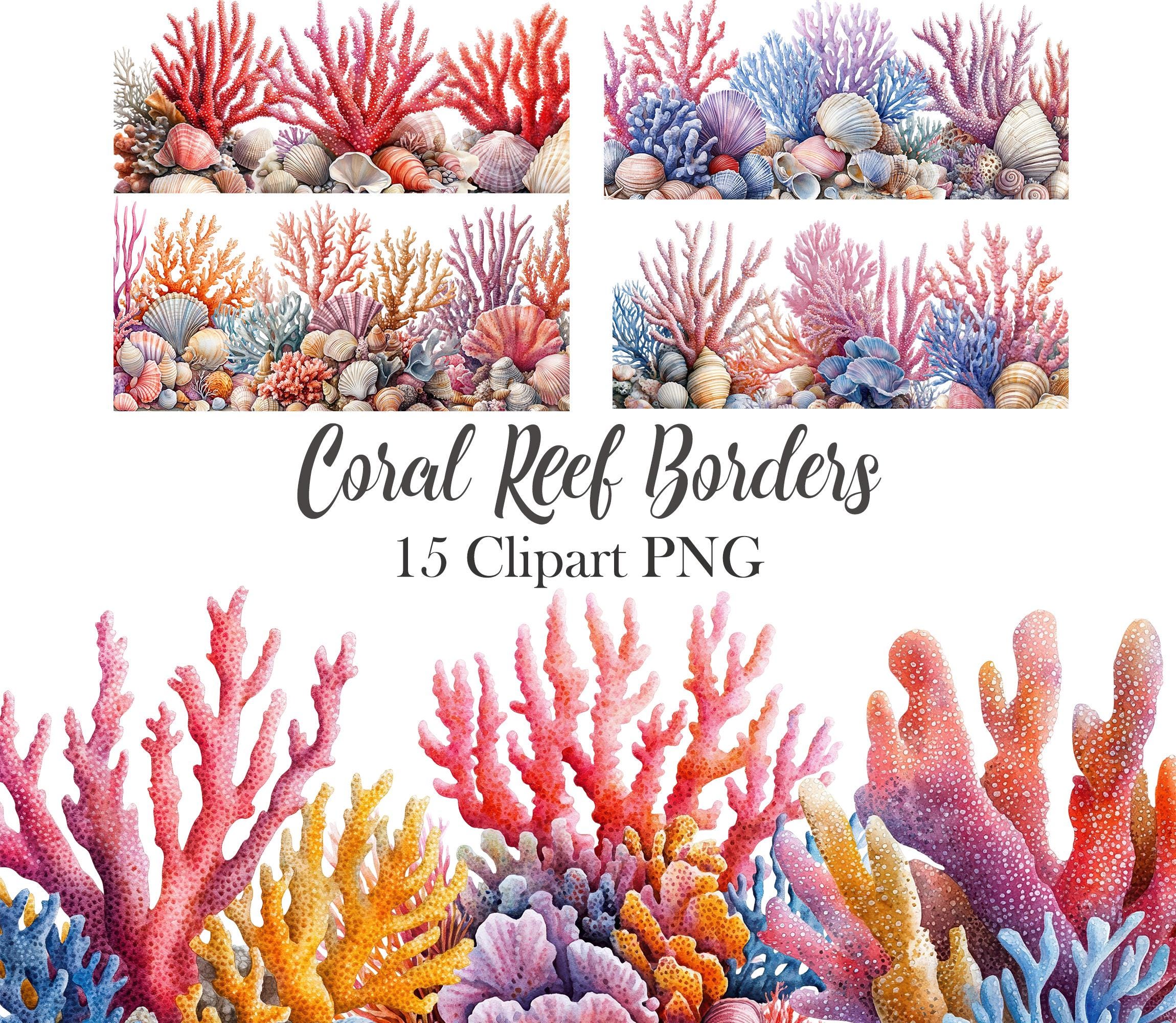 Coral Reef Border Clipart, Seashell, Summer PNG, Digital Download - Etsy
