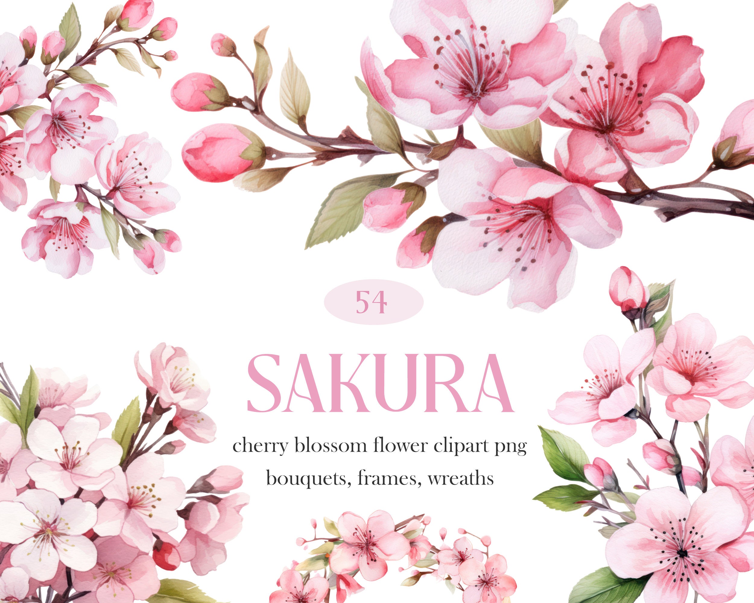 Cherry Blossom Flower Clipart Watercolor Pink Sakura PNG - Etsy Portugal