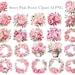 Pink Peony Clipart, Watercolor Peony PNG, Wedding Bouquet, Pink Flower ...
