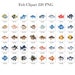 Fish Clipart Bundle, Watercolor Fish PNG, Fish Sublimation, Digital ...