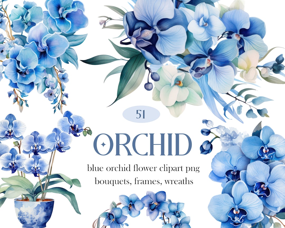 Blue Orchid PNG, Watercolor Orchid Clipart Bundle, Blue Flower Bouquet ...