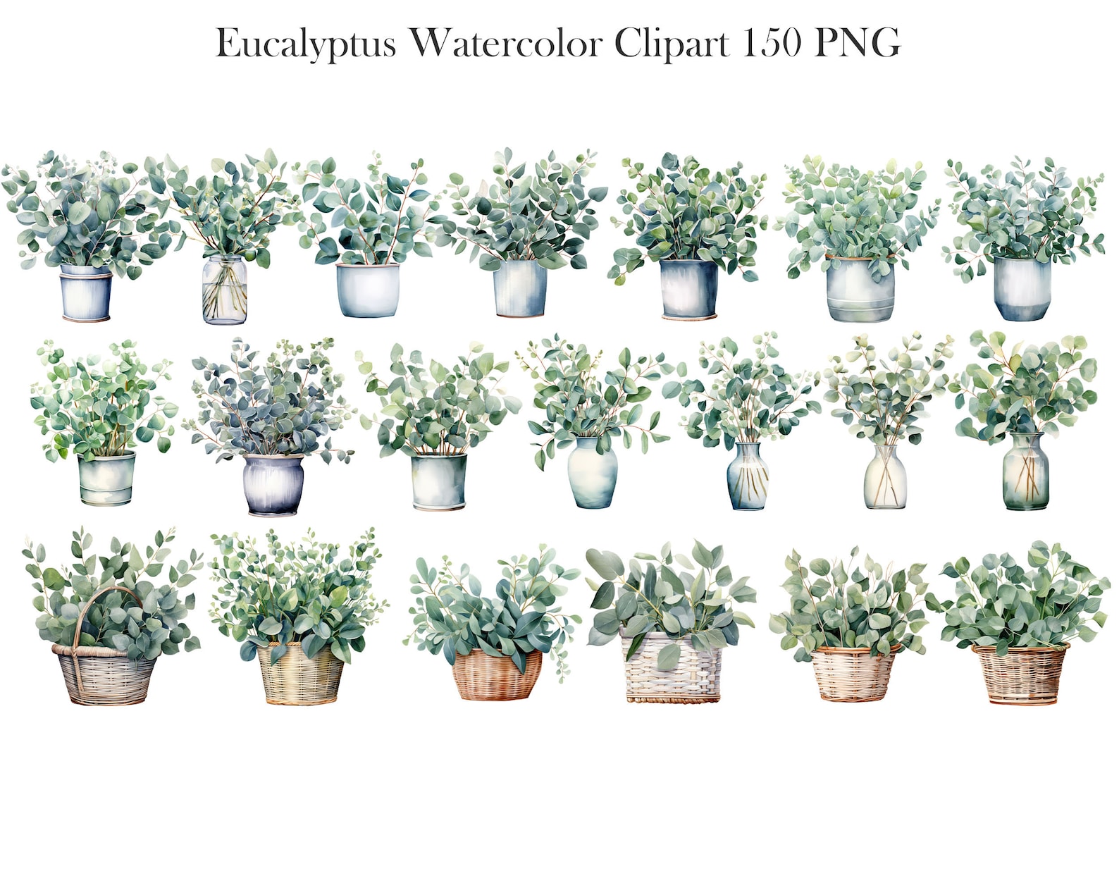 Eucalyptus PNG, Watercolor Eucalyptus Clipart Bundle, Greenery Clipart ...