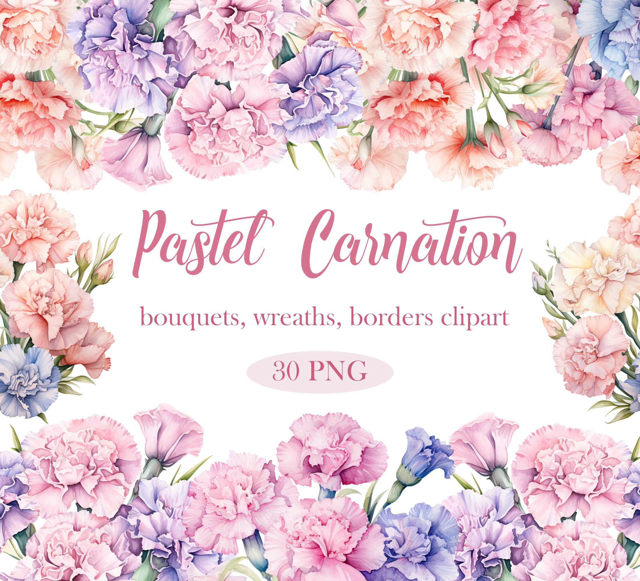 Pastel Carnation Clipart, Watercolor Flower Clipart Bundle, Carnation ...
