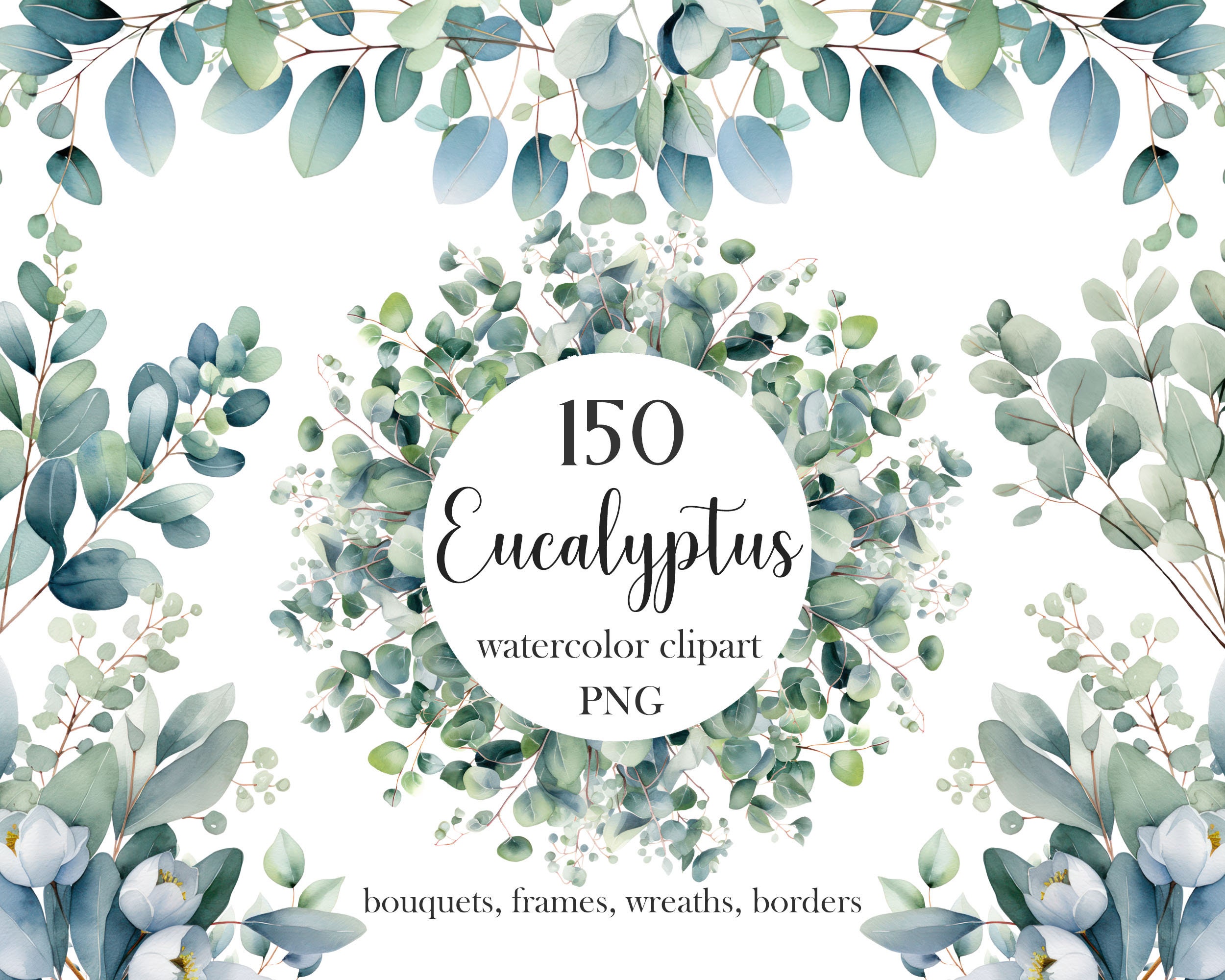 Eucalyptus PNG, Watercolor Eucalyptus Clipart Bundle, Greenery Clipart ...