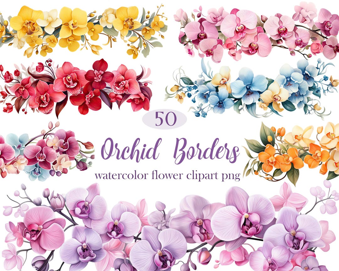 Orchid Border Clipart, Watercolor Orchid PNG Bundle, Flower Borders ...
