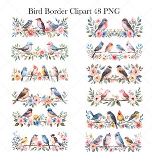 Bird Border Clipart, Watercolor Bird PNG, Digital Download - Etsy