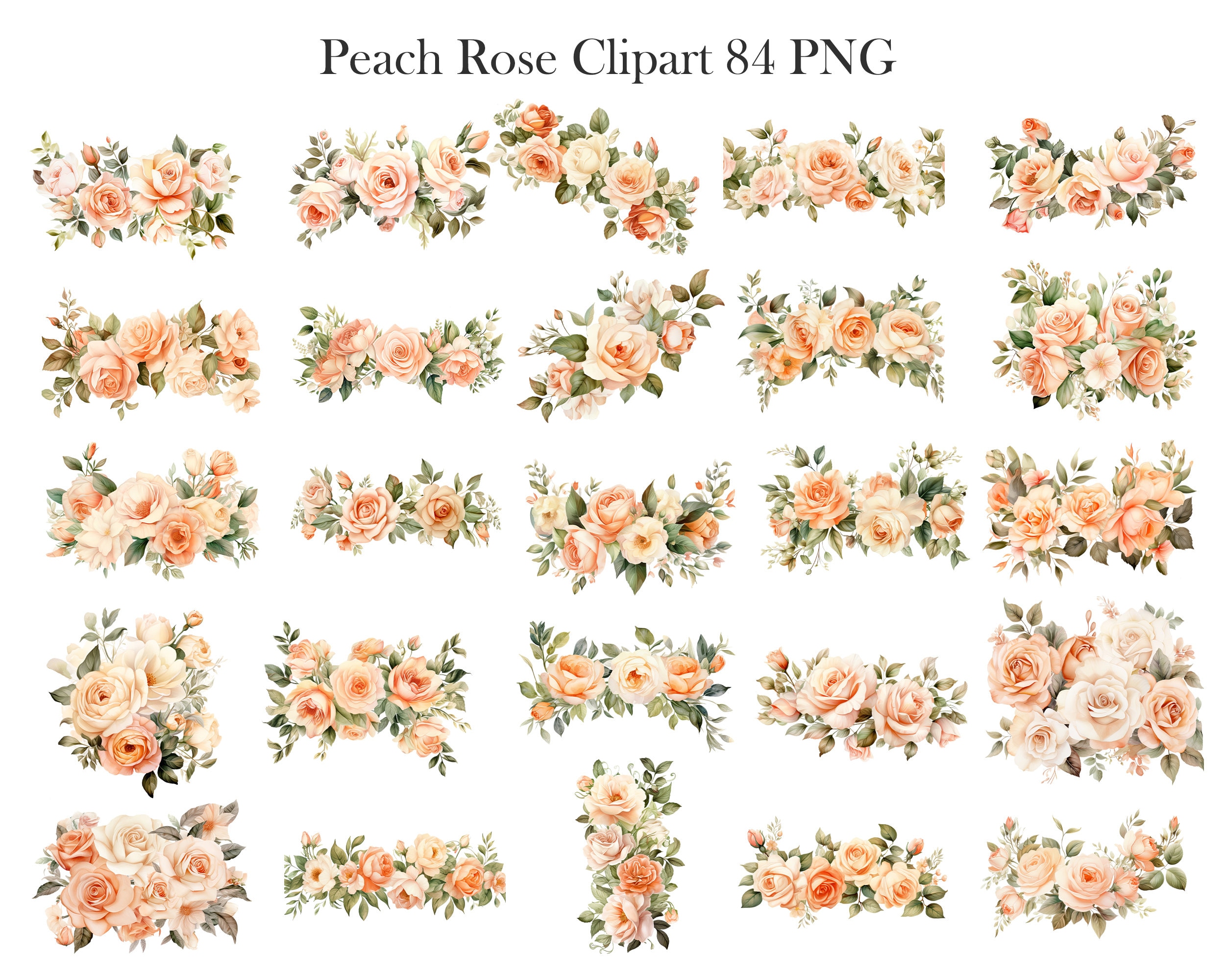 Peach Rose PNG, Pastel Orange Rose Clipart, Watercolor Peach Flower ...