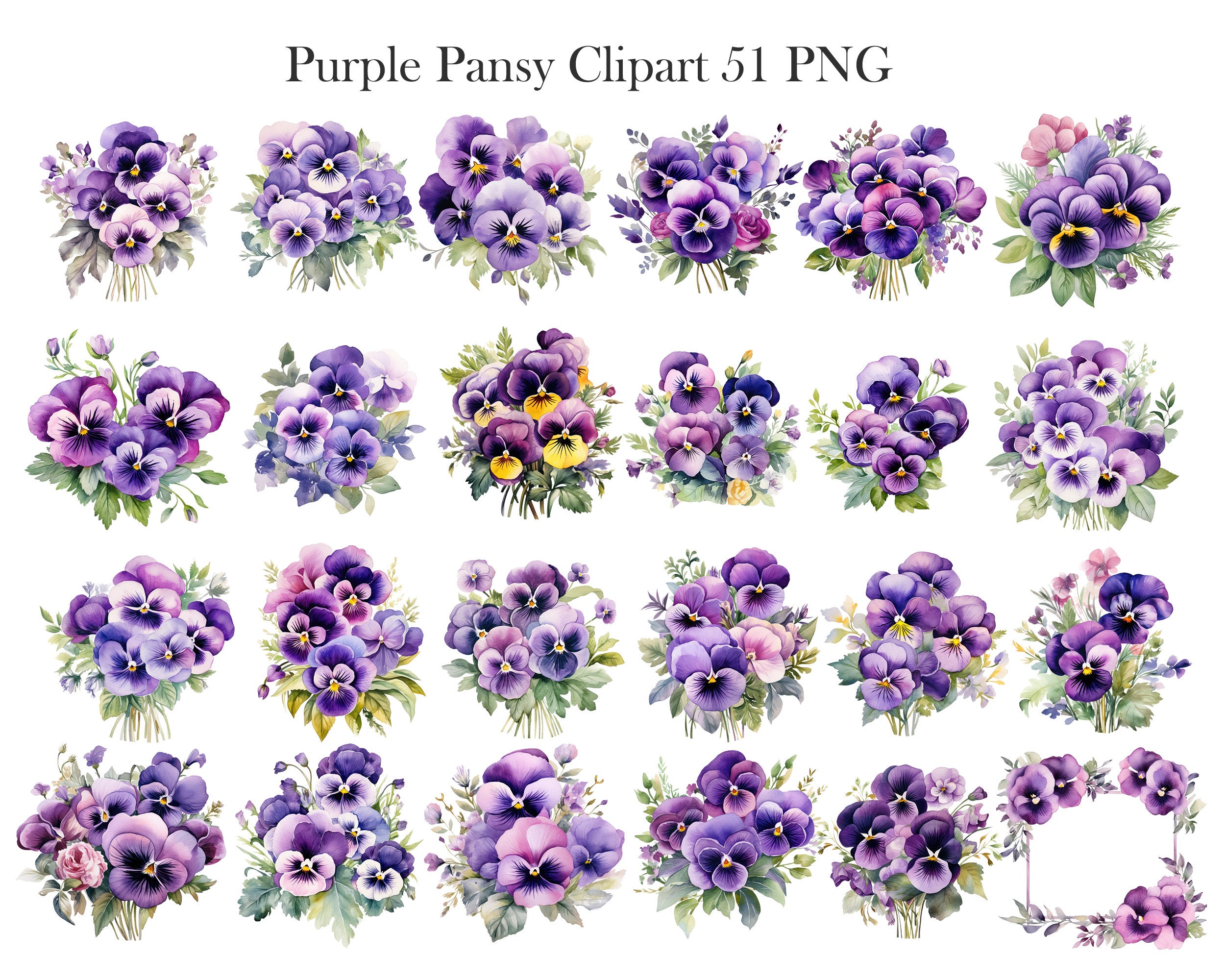 Purple Pansy PNG, Watercolor Pansy Clipart Bundle, Purple Flower ...