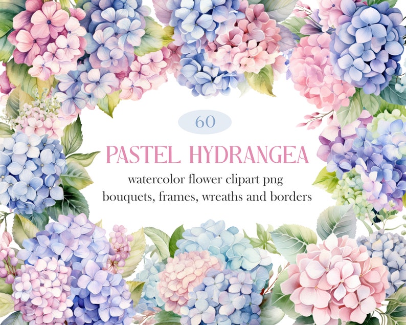 Pastel Hydrangea Flower PNG Clipart, Watercolor Hydrangea Floral PNG ...