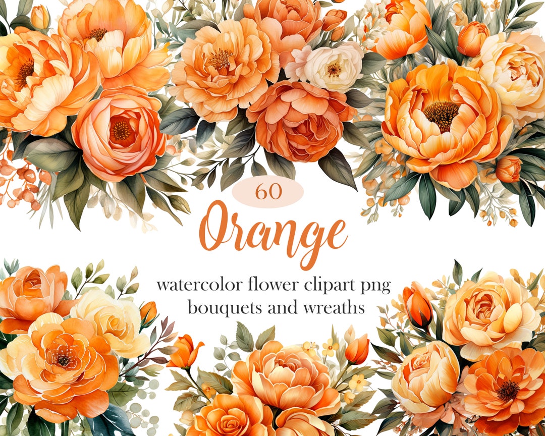 Orange Flower PNG, Watercolor Orange Floral Clipart Bundle, Flower ...
