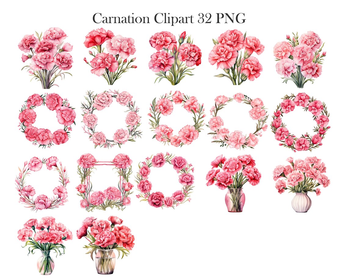 Carnation Clipart, Watercolor Floral Clipart Bundle, Carnation PNG ...