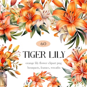 Tiger Lily PNG, Watercolor Tiger Lily Clipart Bundle, Orange Flower ...